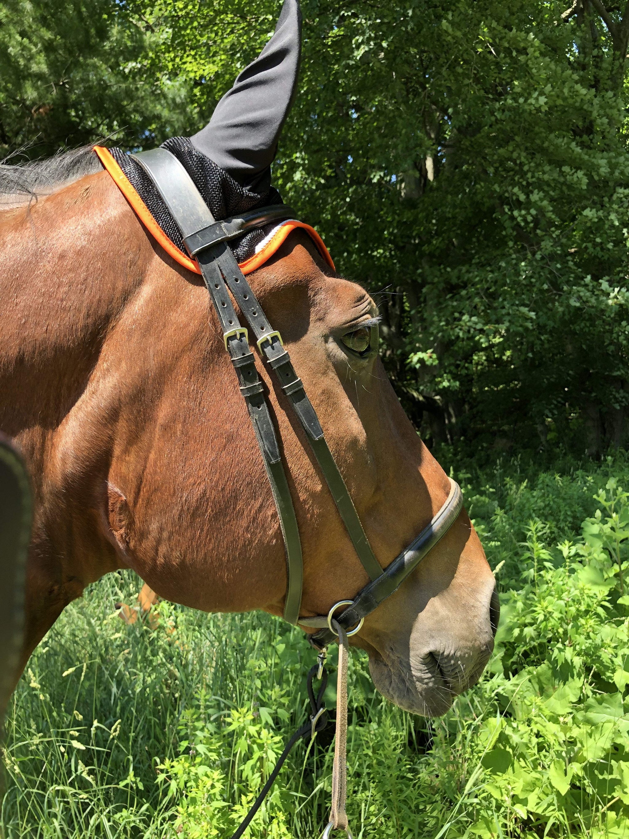 Fly Sheets/Masks — Warmblood Tack Store